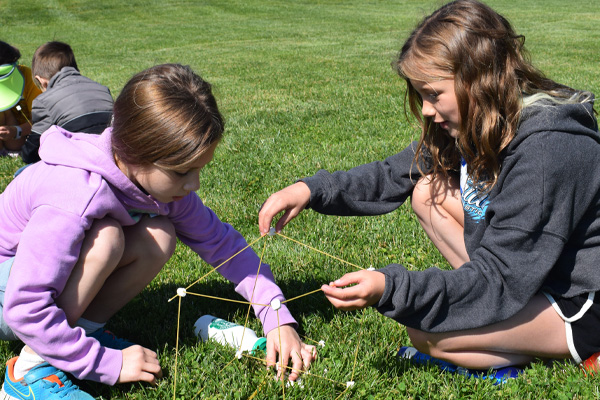 Lower Dauphin Falcon Foundation